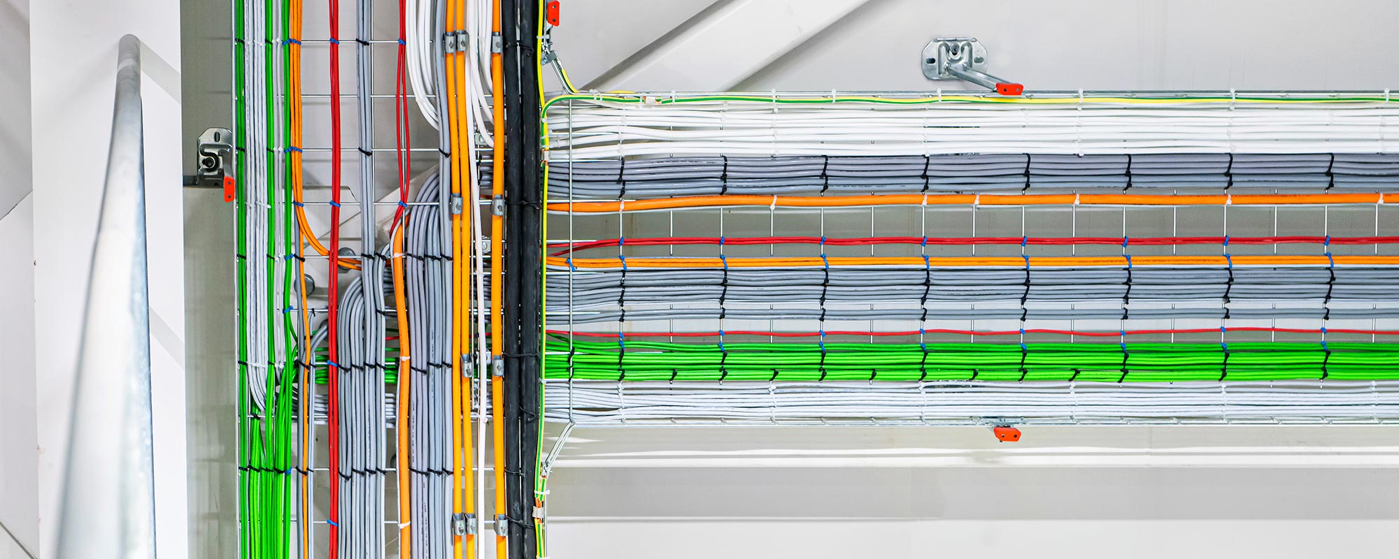 Defem mesh trays | Wibe group